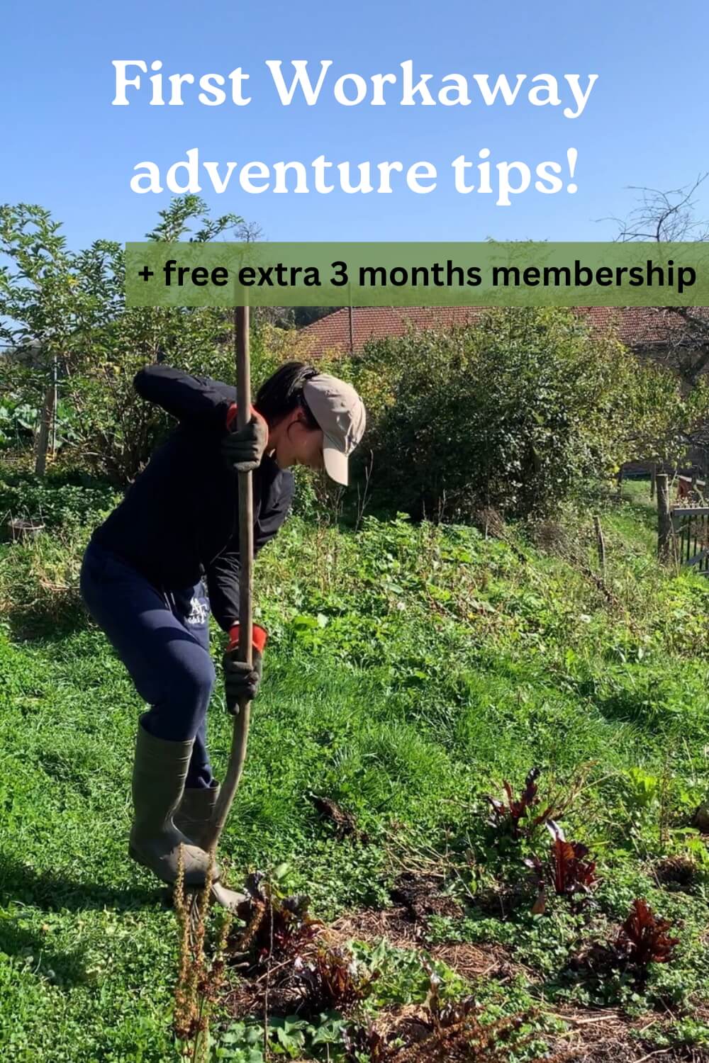 First Workaway tips: 9 things to do before your trip - Our Home Kong